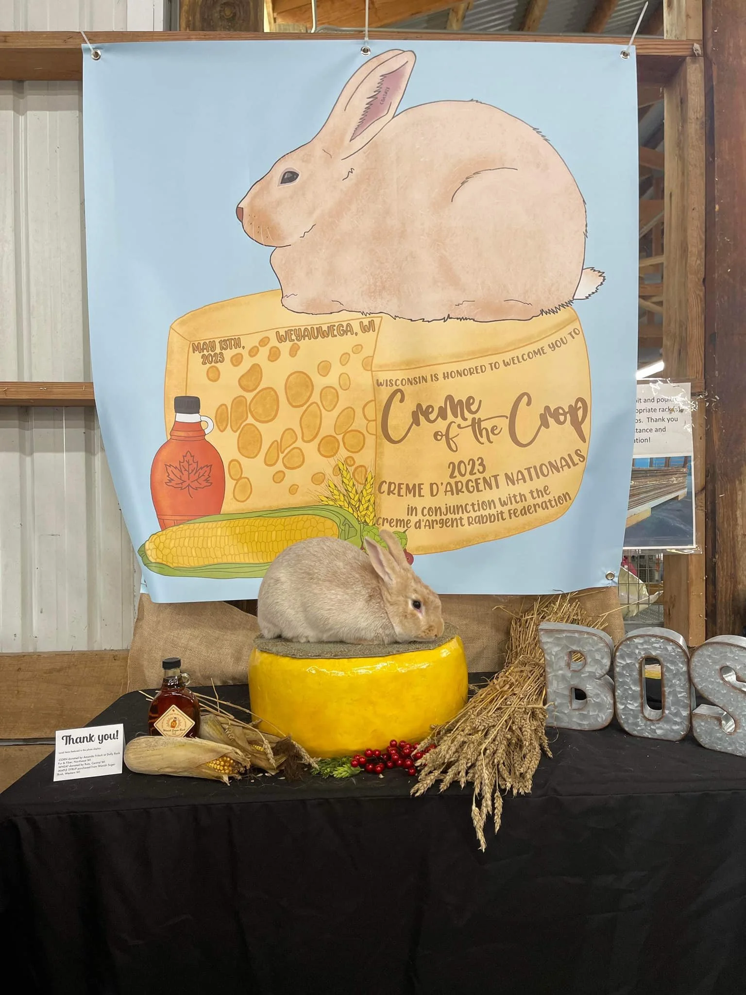 Creme d'Argent Rabbit Federation