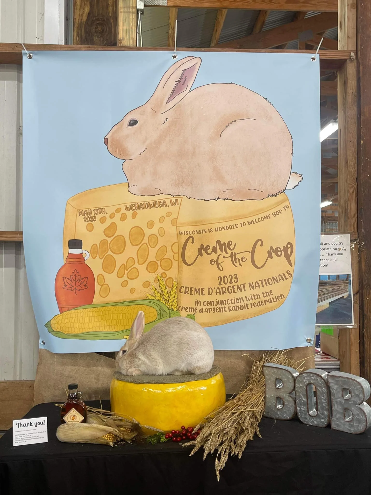 Creme d'Argent Rabbit Federation