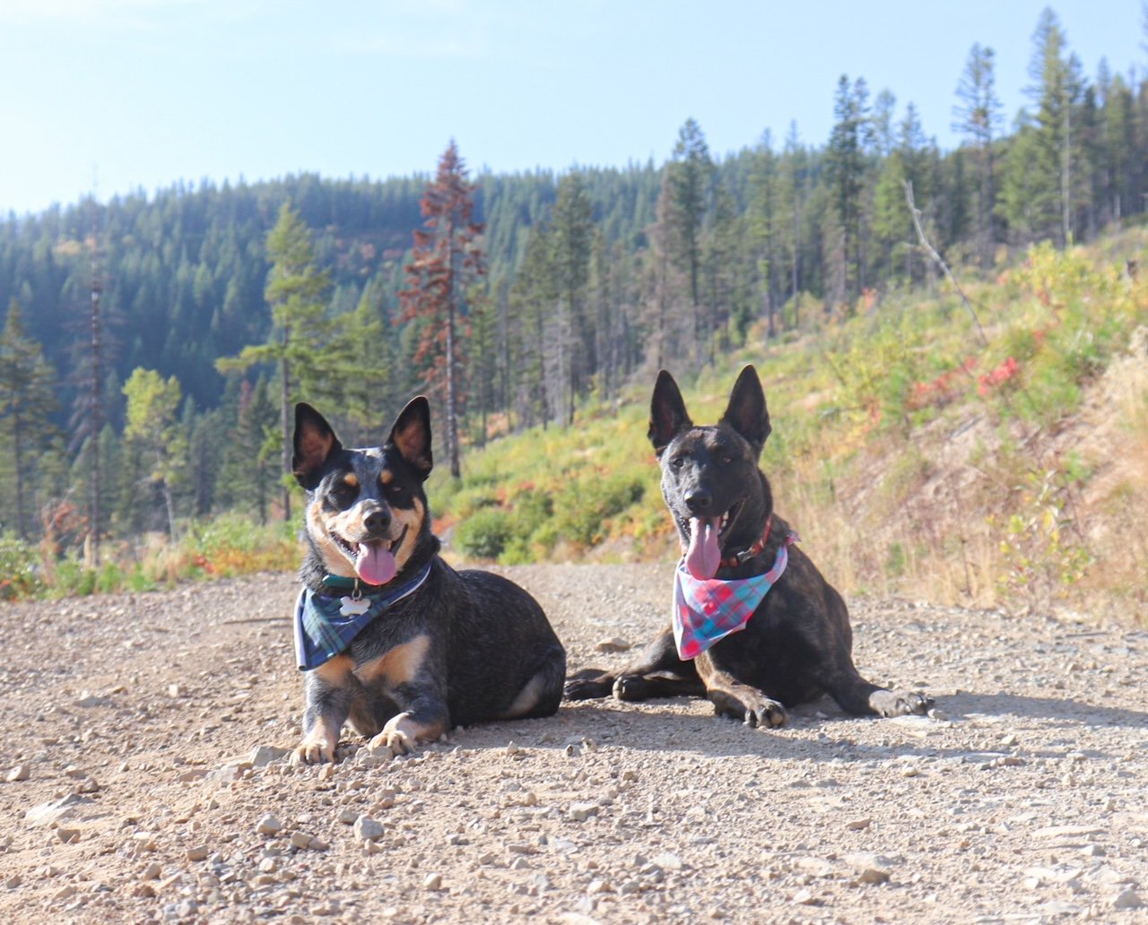 Team — Backcountry Crew