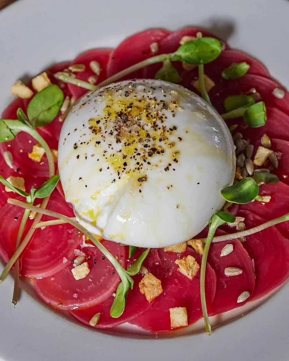 Squisito | Experience Authentic Italian Cuisine – Book Now