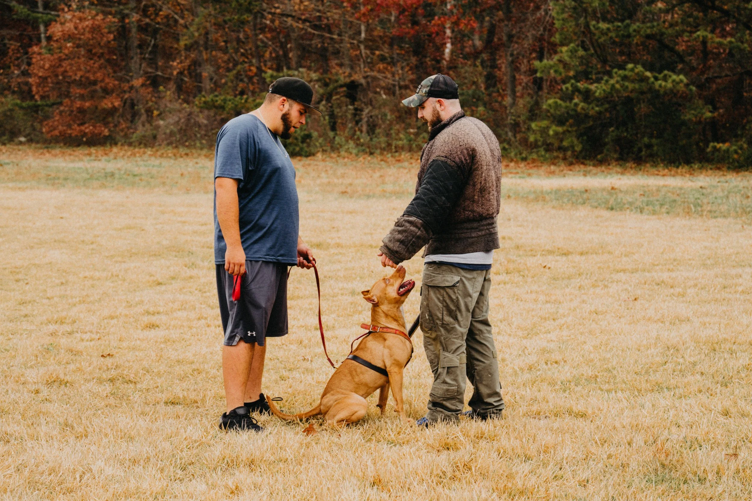 About — Genetic K9