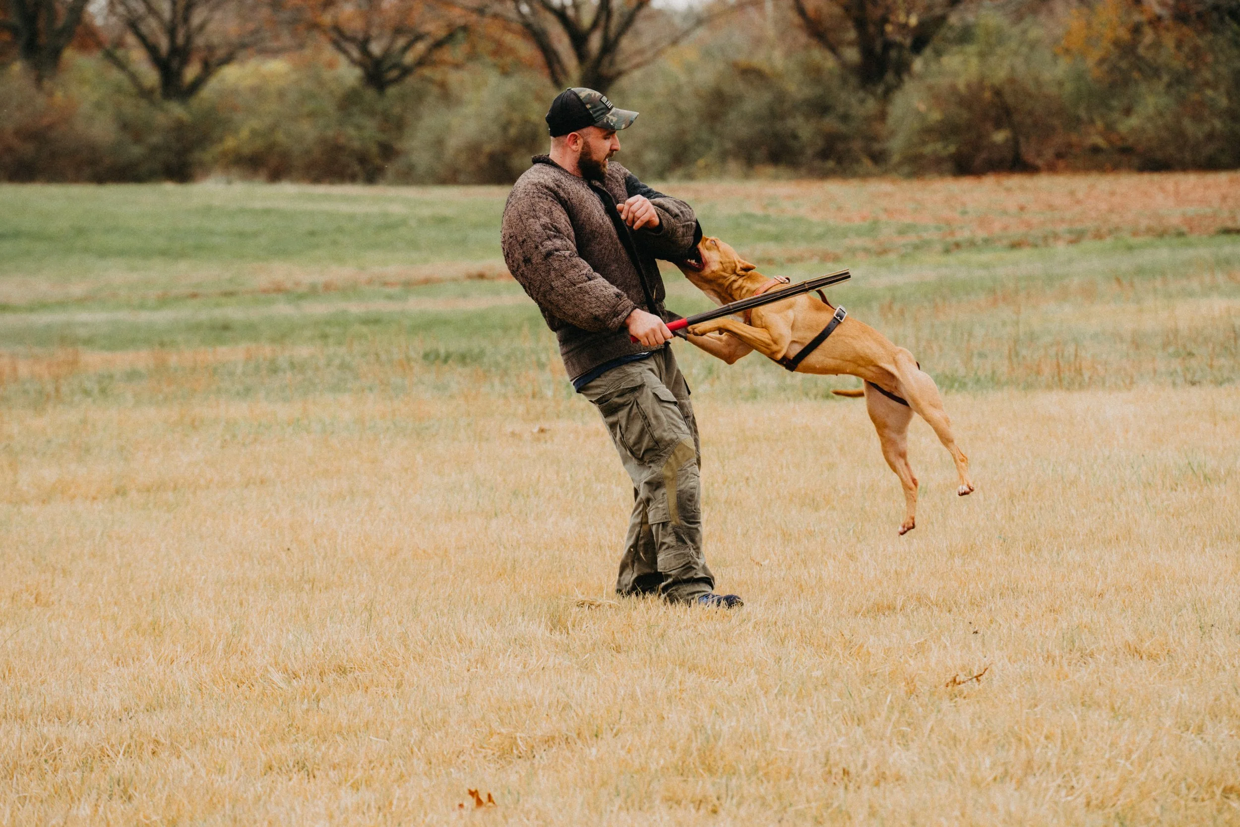 About — Genetic K9