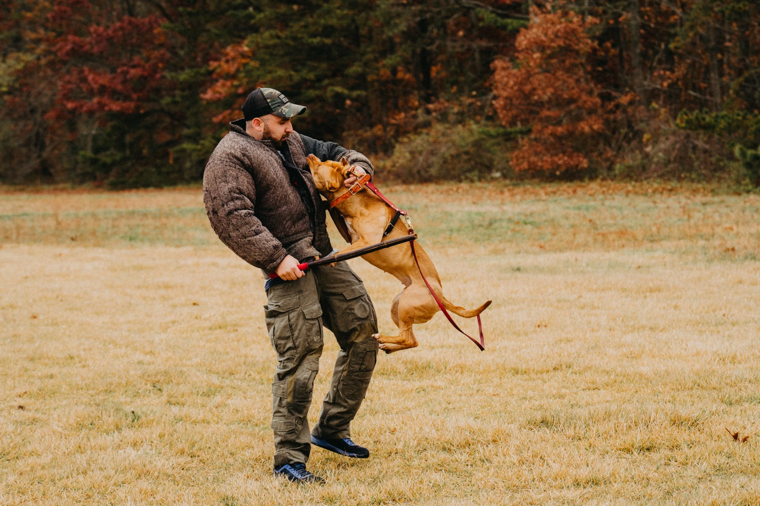 About — Genetic K9