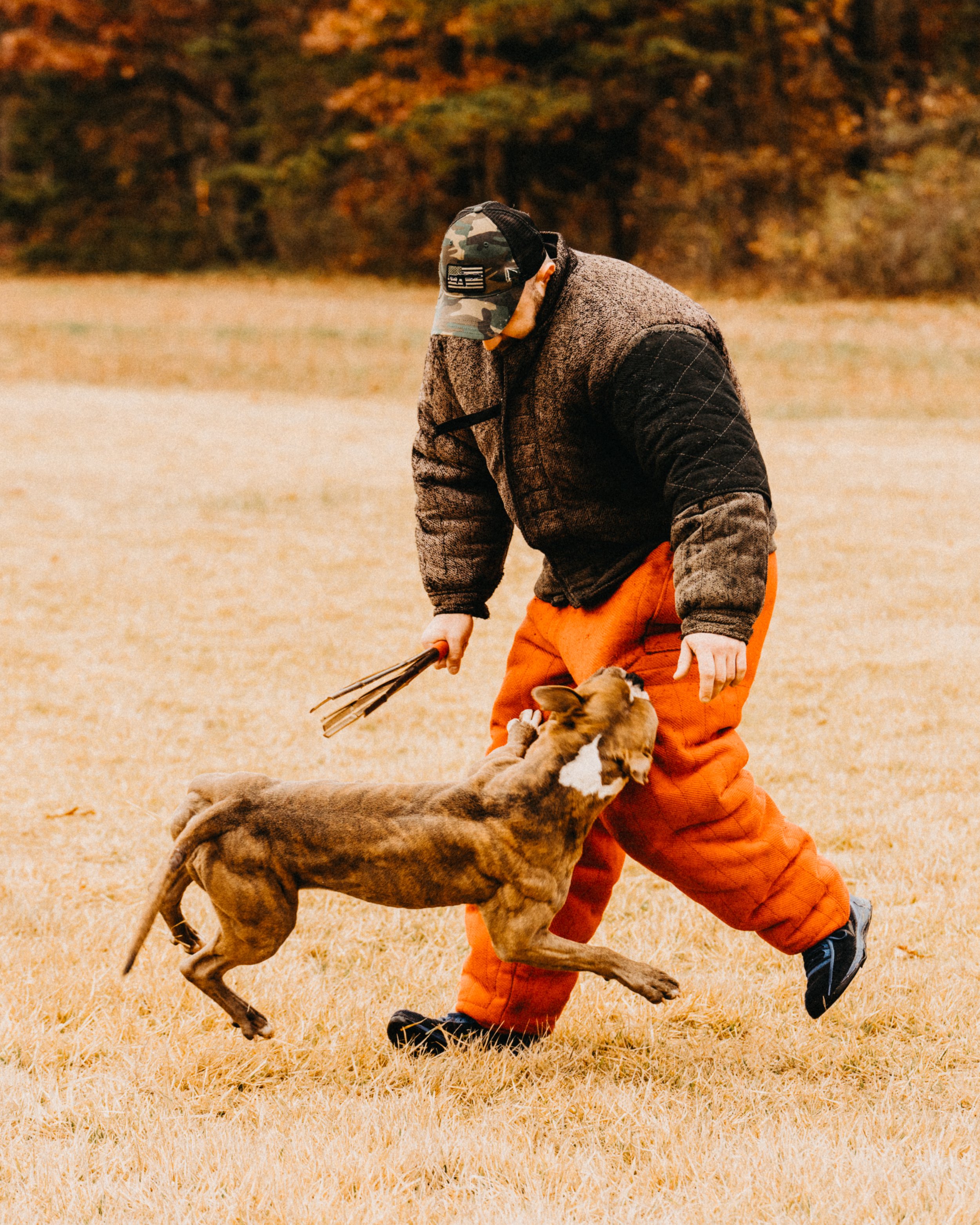 About — Genetic K9