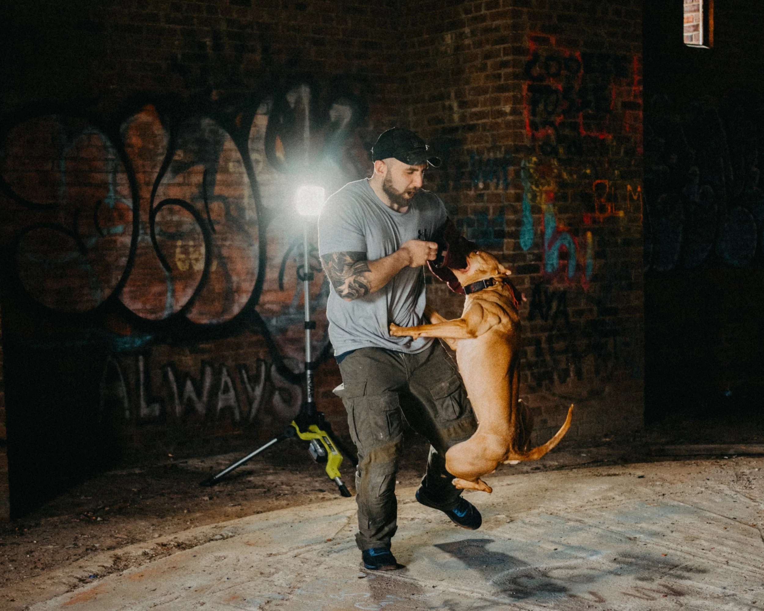 About — Genetic K9