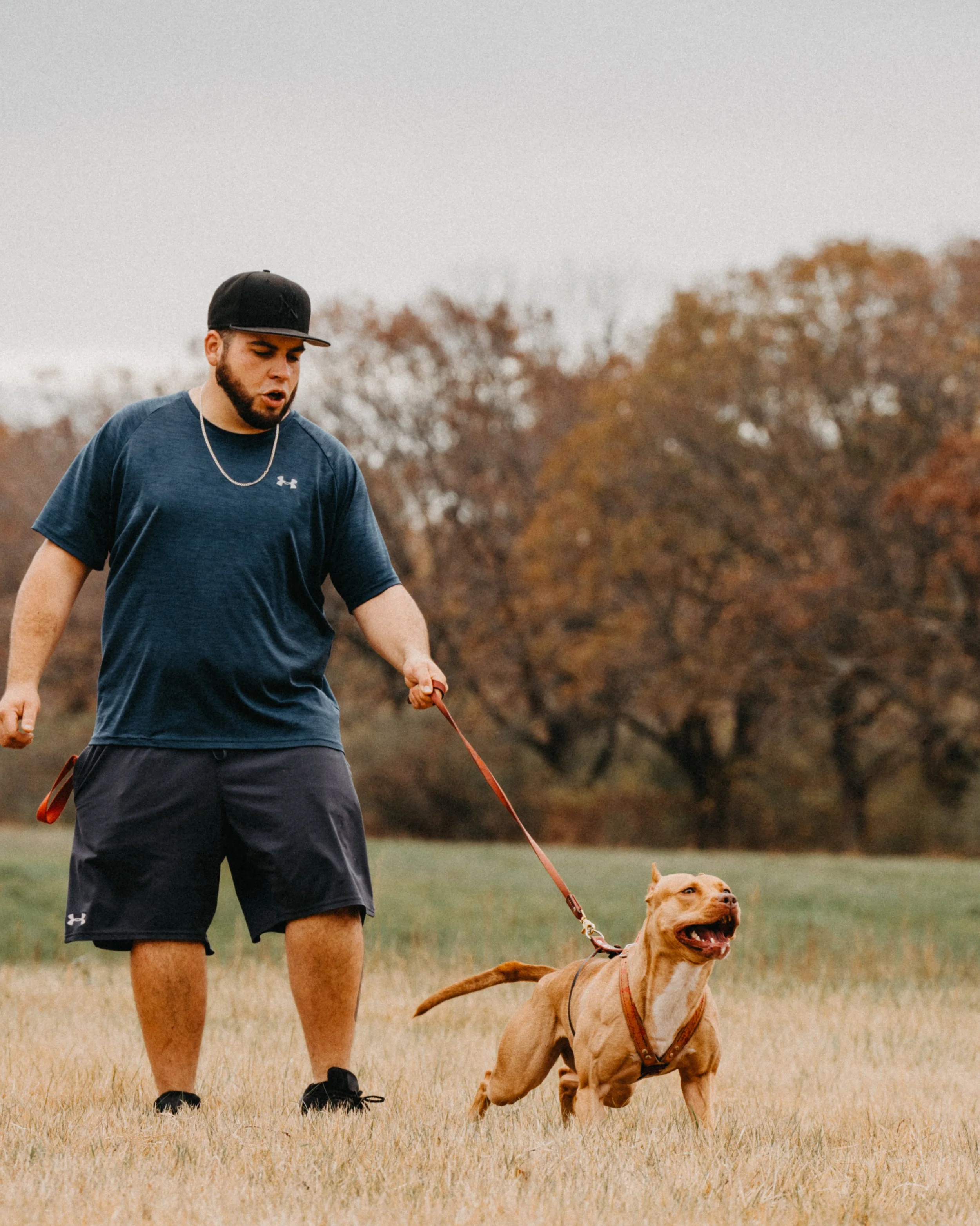 About — Genetic K9