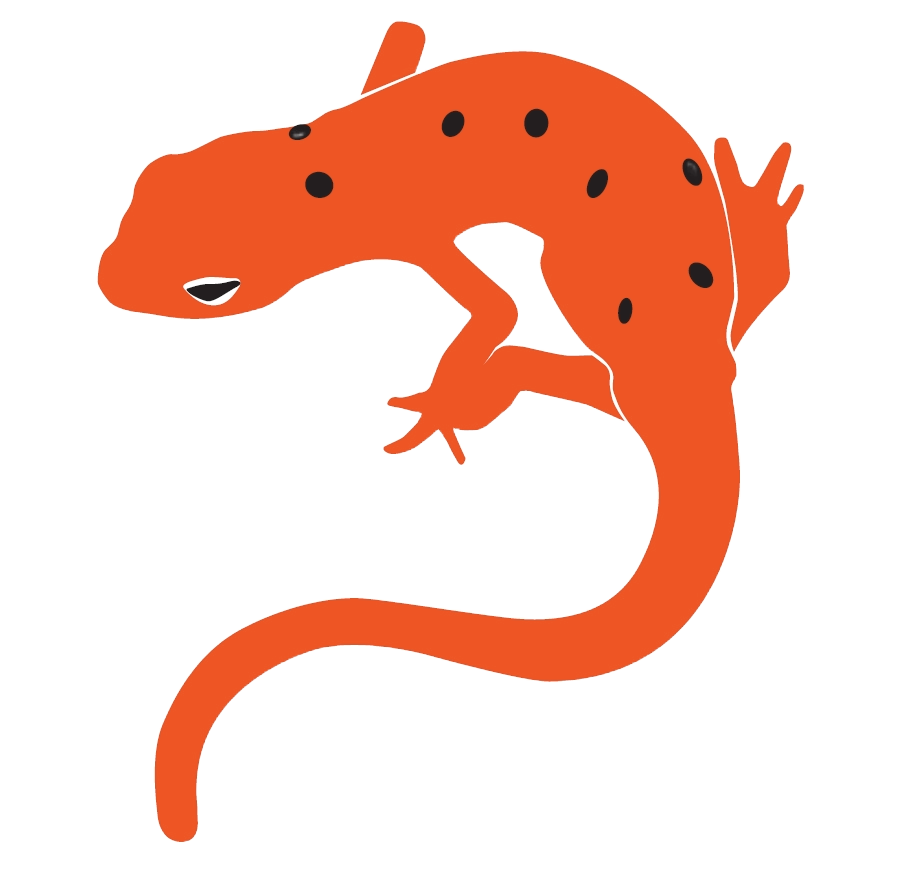Cayuga Trails — Red Newt Racing