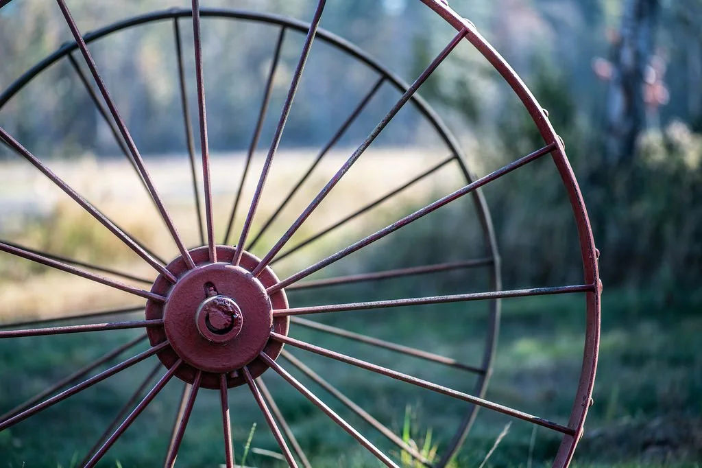 Ellie's Farm RV and Camping Park Comox