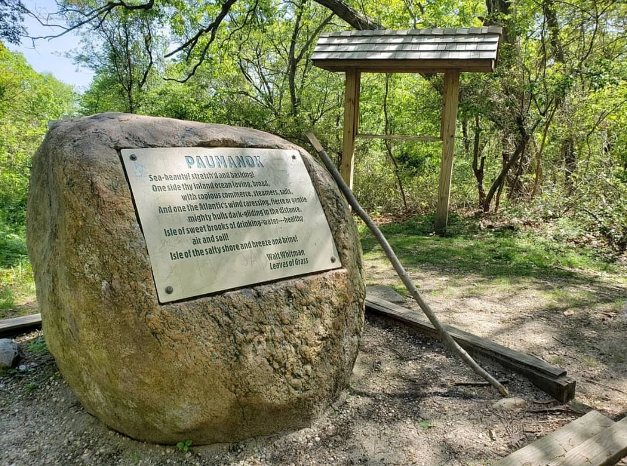 The 6 Best Hiking Spots On Long Island — Jen Young Photography