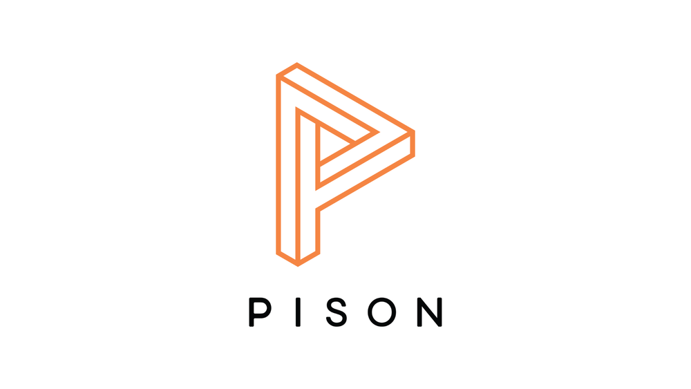 Pison Technology — Catalytic Impact Foundation