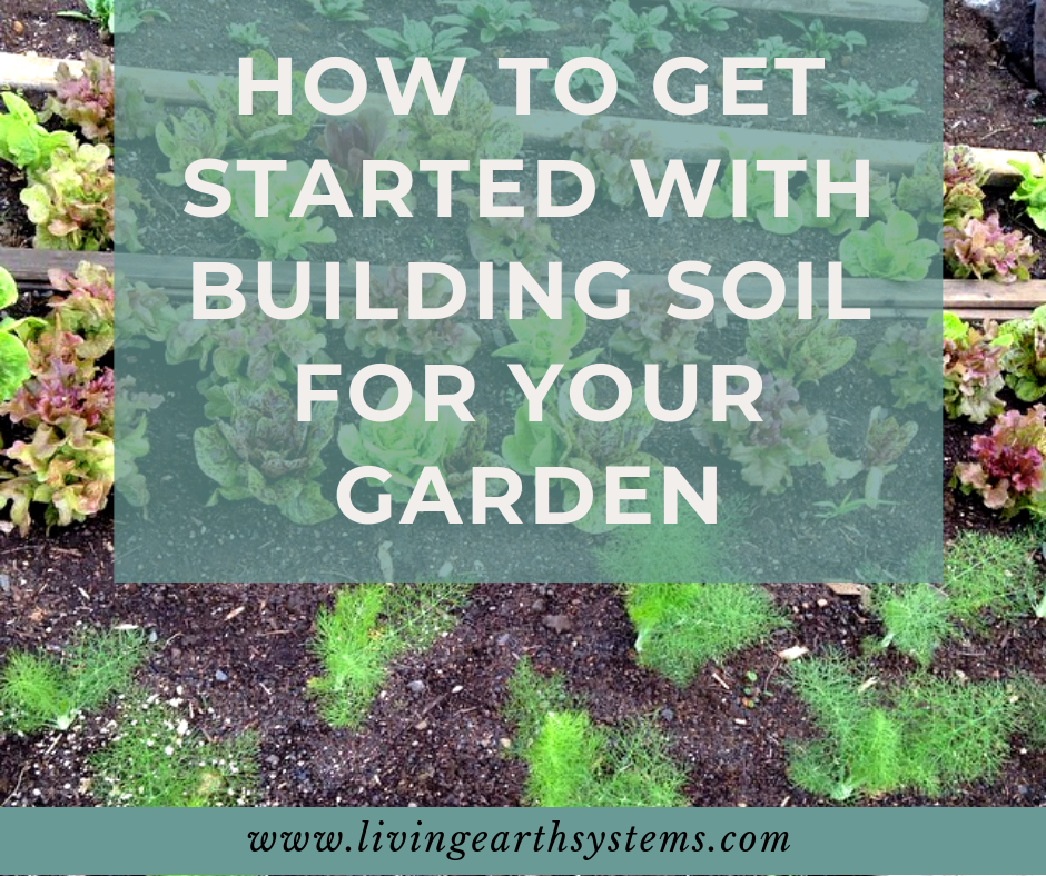How to get started with building the perfect garden soil without going ...