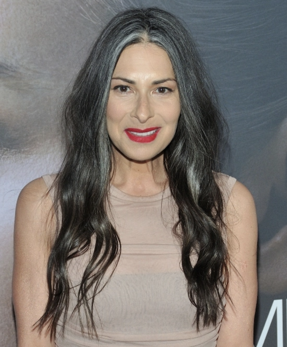 Leesa Lee Hair — Blonde Specialist and Grey Transition Expert — Austin ...