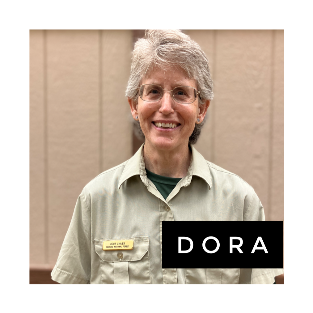 Patrol- San Antonio Creek and Icehouse Canyon — Fisheries Resource ...