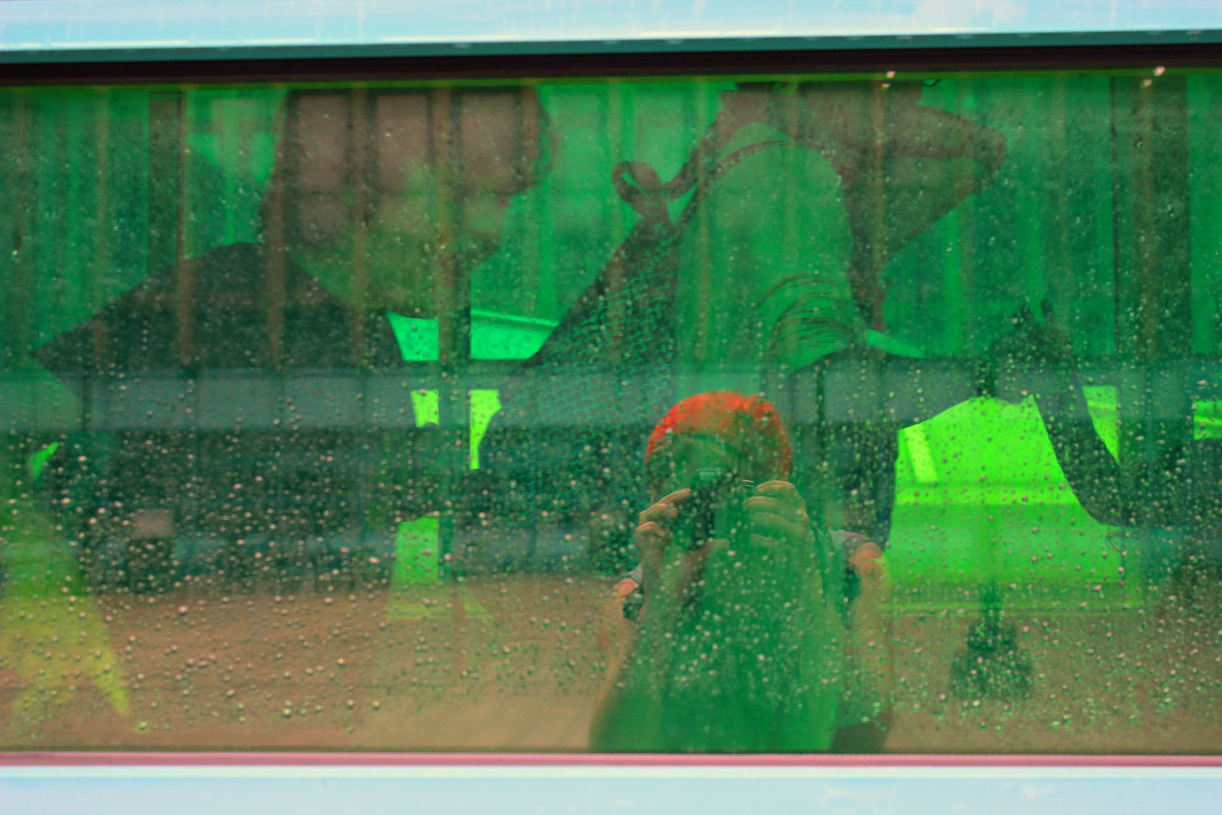 Layla Bird | Multimedia Artist