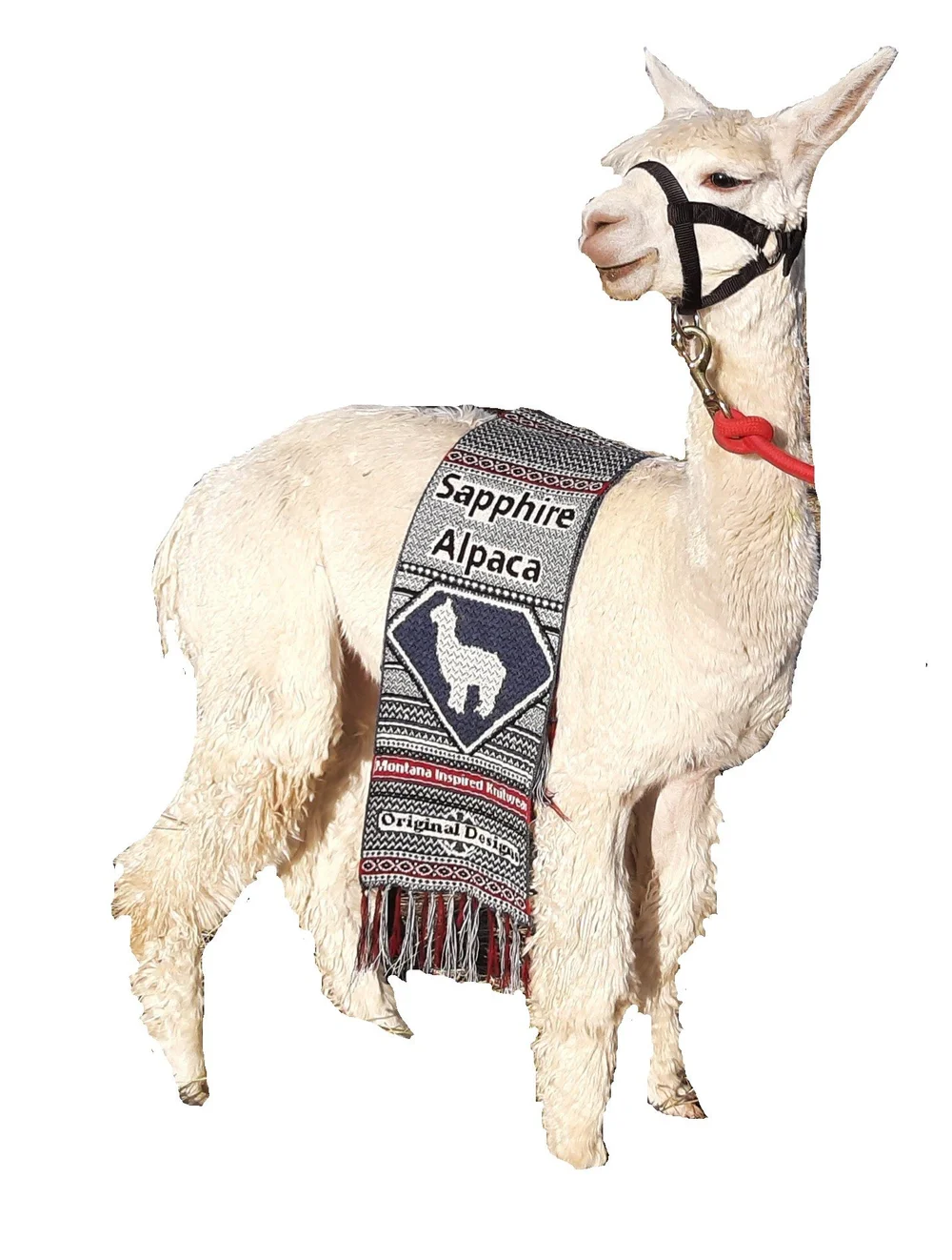 Wholesale — Sapphire Alpaca