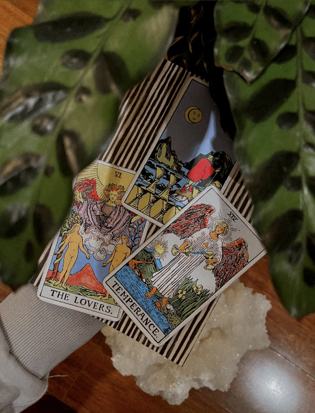 The Seers Lounge™ | Tarot Sanctuary | Photography Prints | Model Museum ...