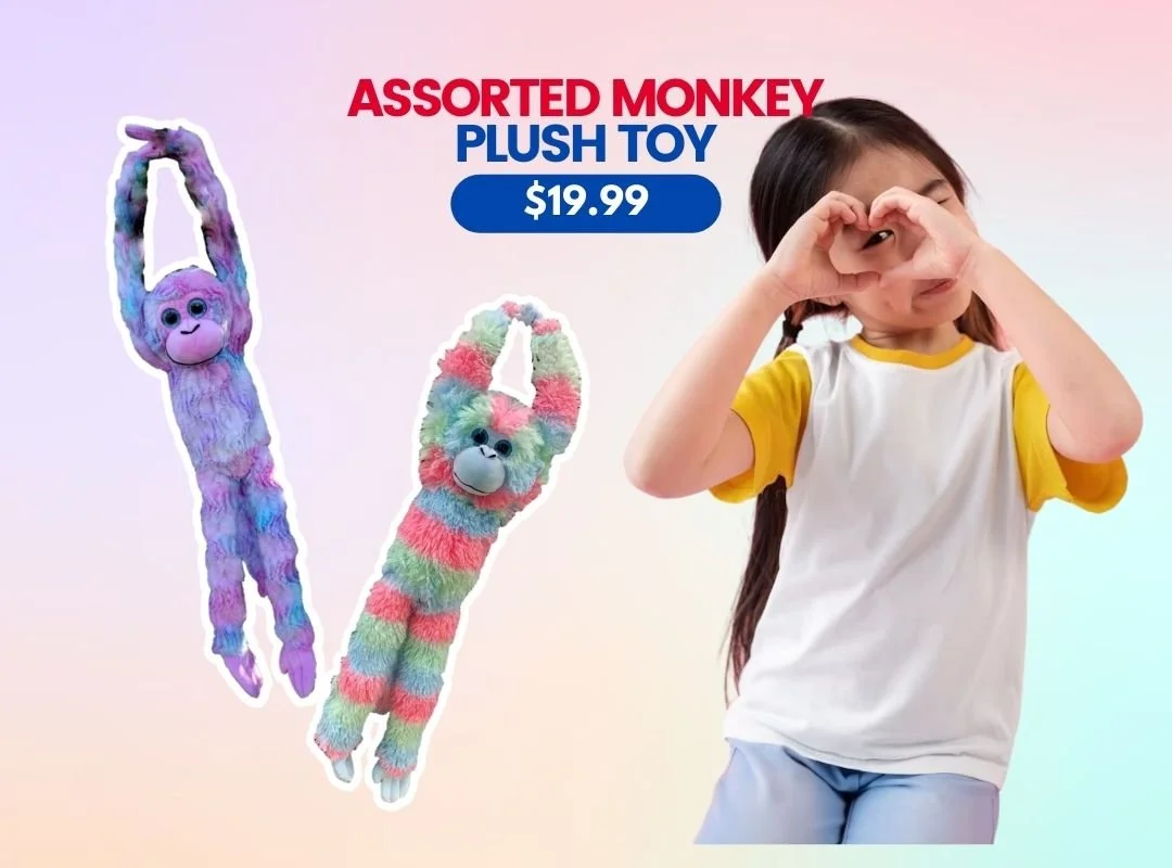 Affordable Toys for All Ages - Price Busters Variety