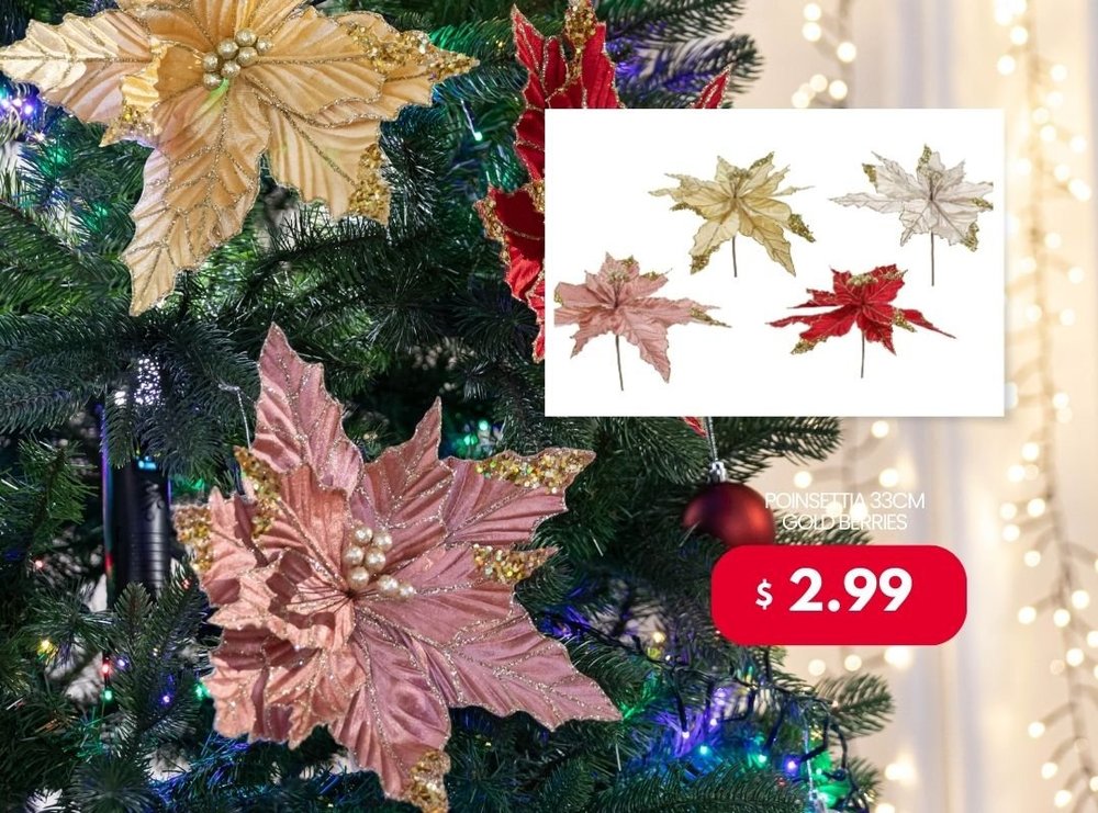 Price Busters Variety — Discount Store in Australia