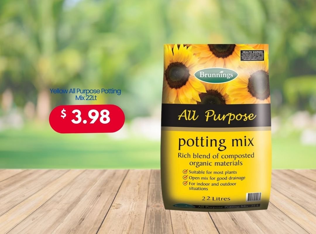 Price Busters Variety — Discount Store in Australia