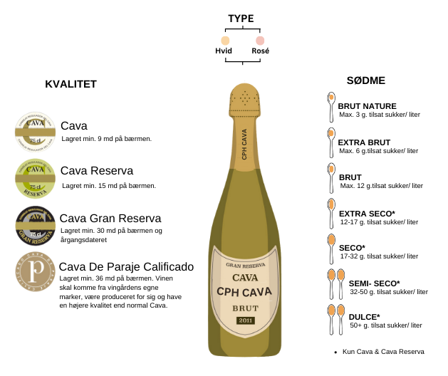 What is cava? - An introduction to Spanish sparkling wine