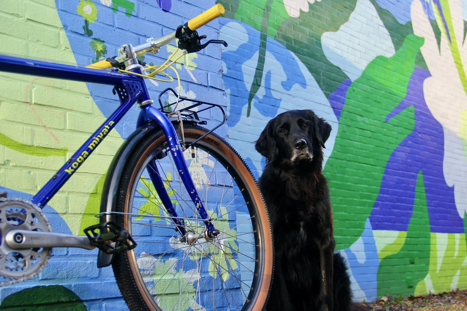 Koga Miyata Burner-S (1997) — The Upcyclist