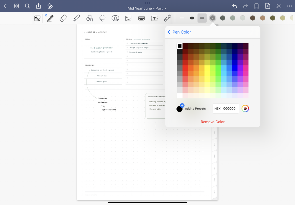 Add Colors to GoodNotes and Notability — EnvizArt