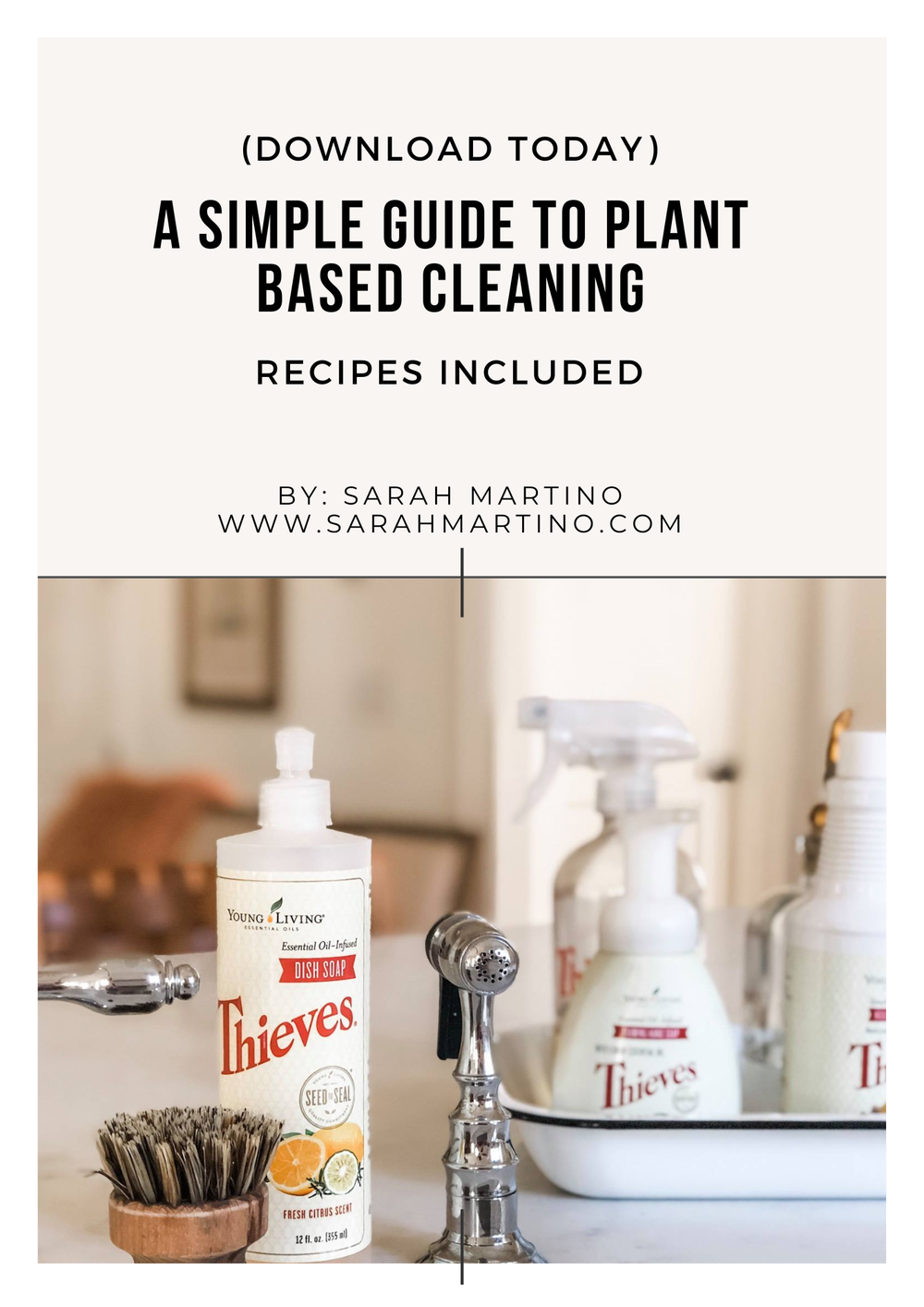 Ultimate Thieves Recipe Book — Sarah Martino