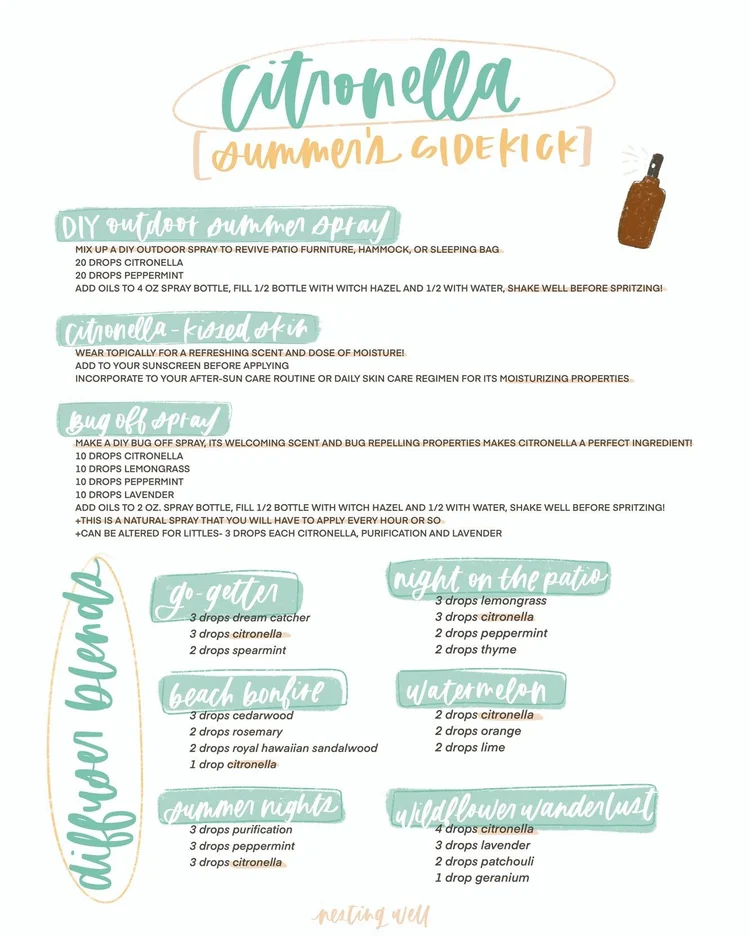 Diffuser Blends For Summer — Sarah Martino