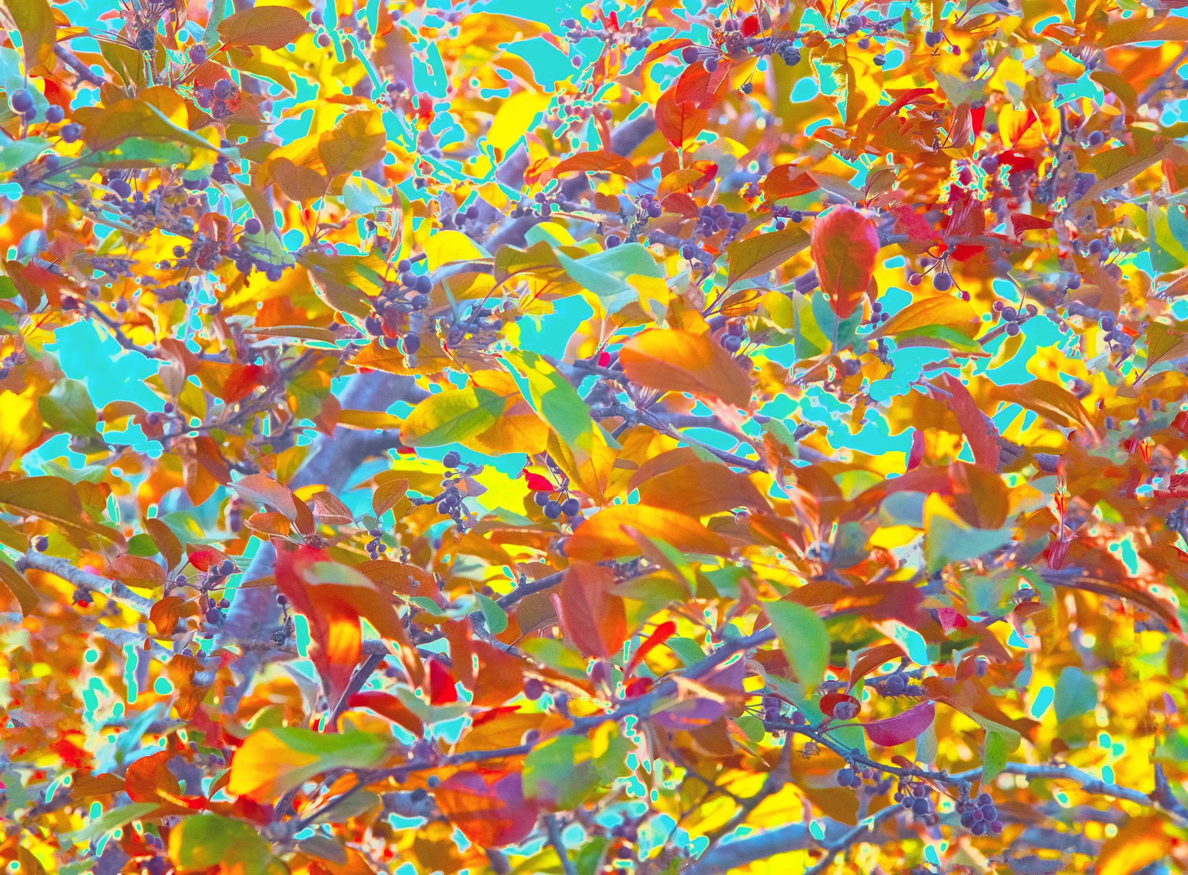 Small Works Exhibition — B L U E S T R E A M G A L L E R Y