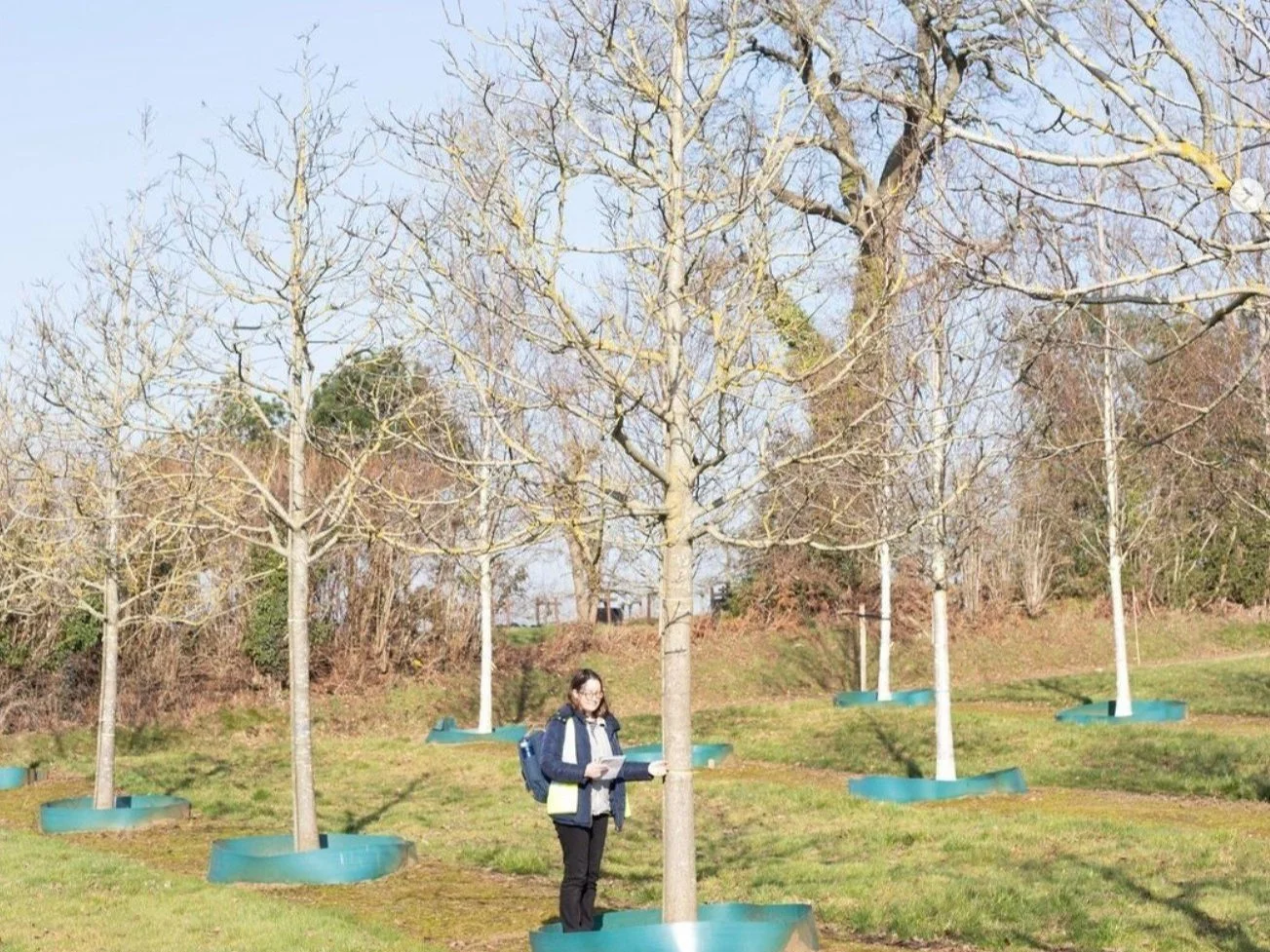 Building Welborne — Welborne Garden Village