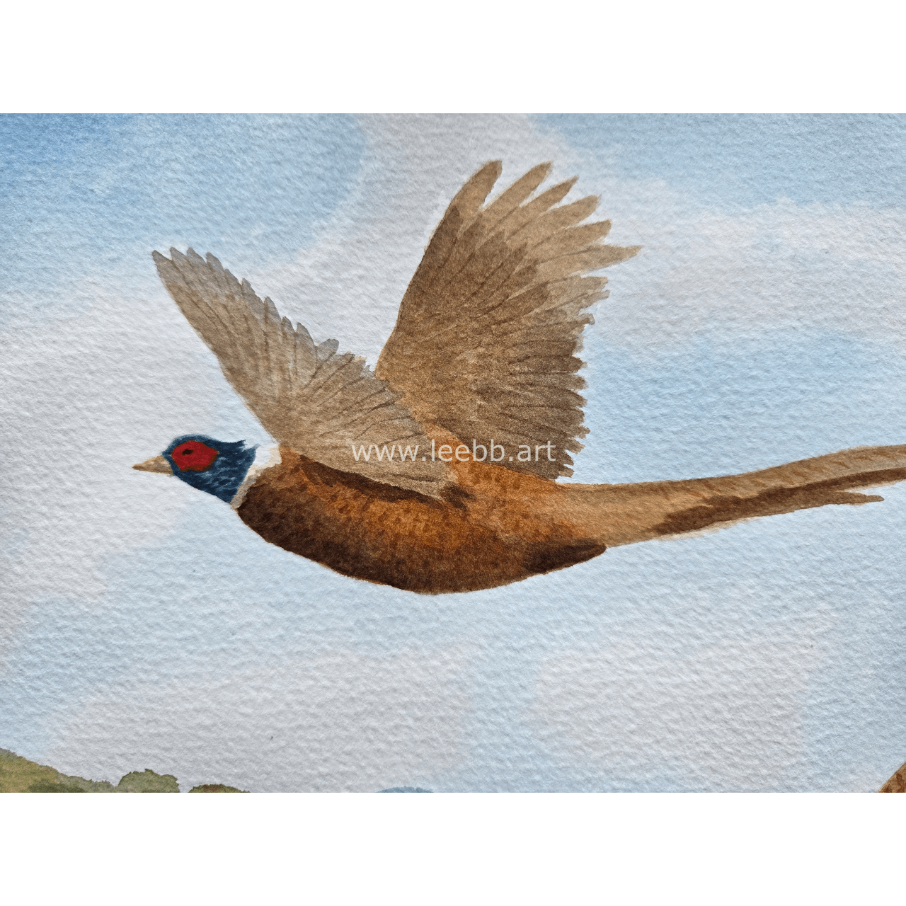 Pheasant’s Field Alarm – Original Wildlife Watercolour Painting | LeeBB ...