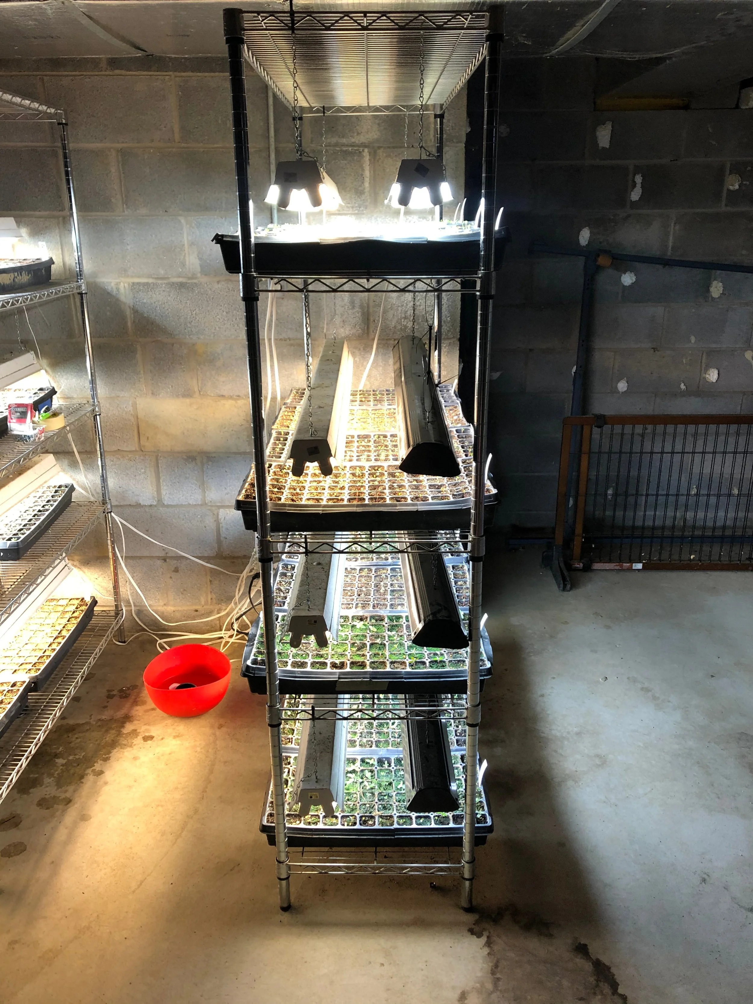 Seed-Starting 101: Build Your Indoor Station to Kickstart Your Flower ...