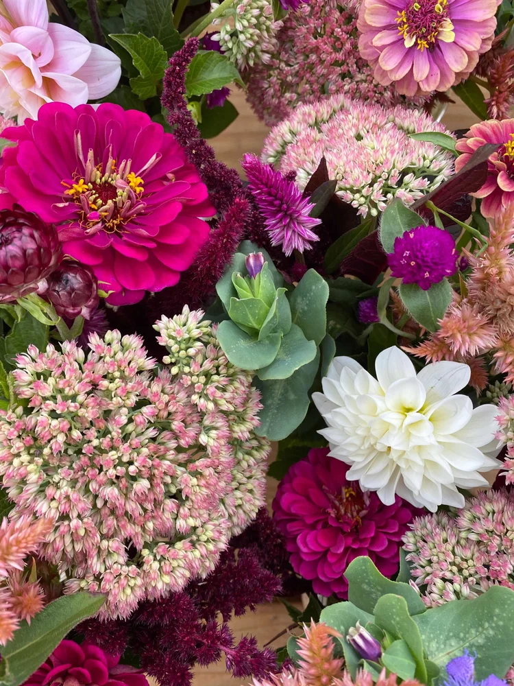 Flowers to Grow for Fall-Inspired Bouquets — Lynsey Taulbee
