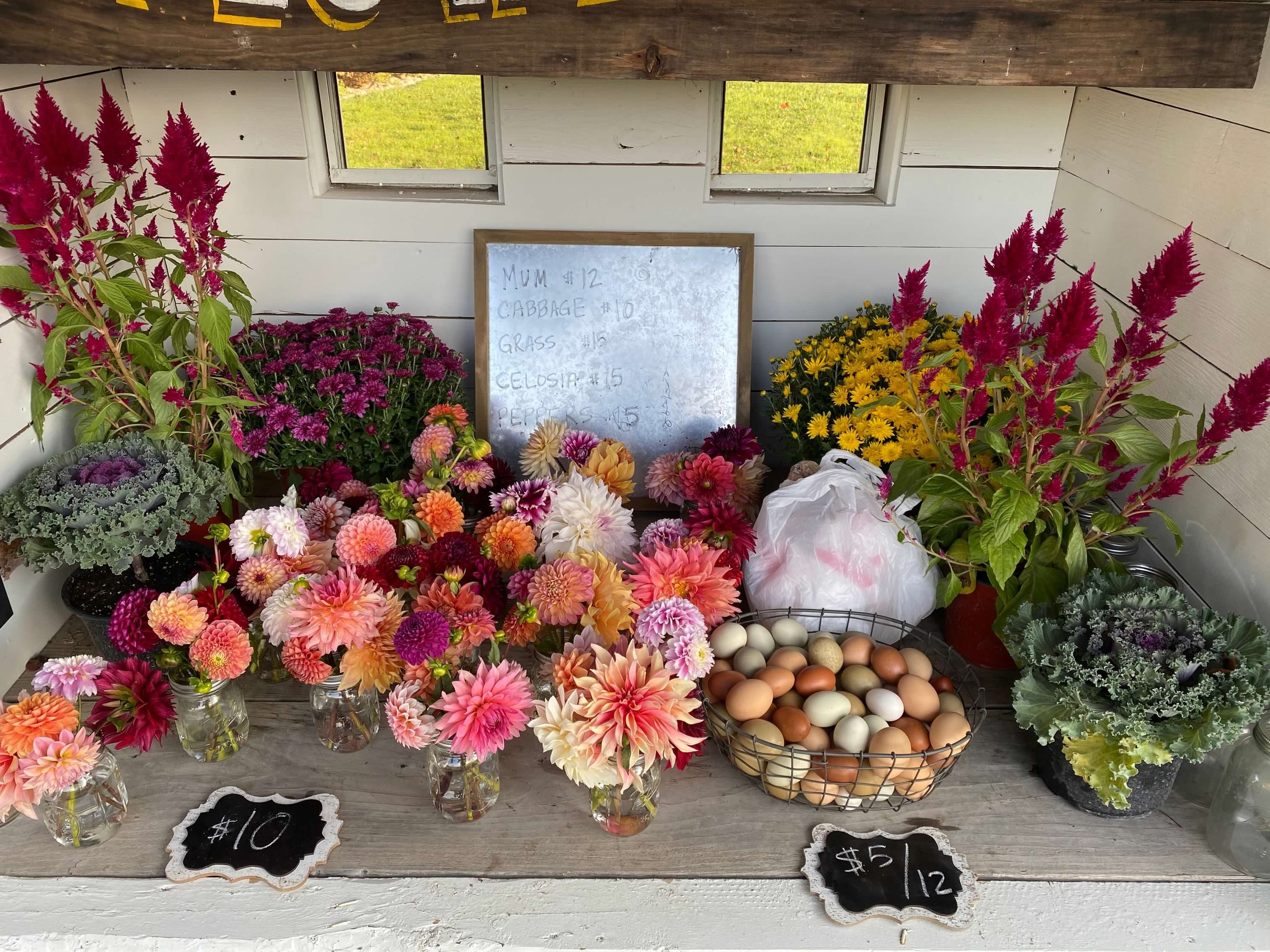 Open a Profitable Roadside Flower Stand — Lynsey Taulbee Open a Profitable Roadside Flower Stand — Lynsey Taulbee