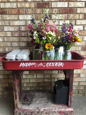 Starting a Roadside Stand: What You Need to Know — Lynsey Taulbee