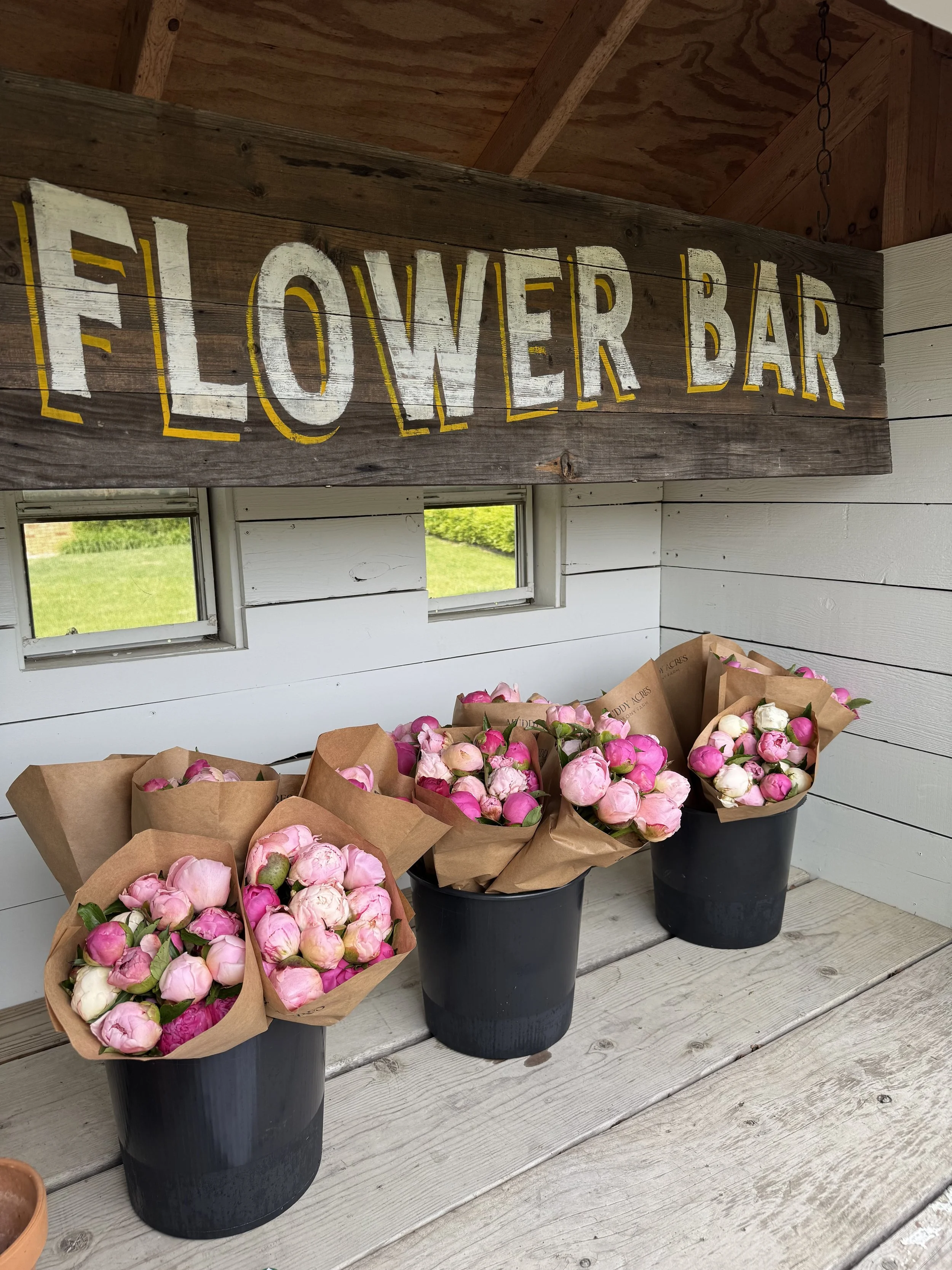 Starting a Roadside Stand: What You Need to Know — Lynsey Taulbee