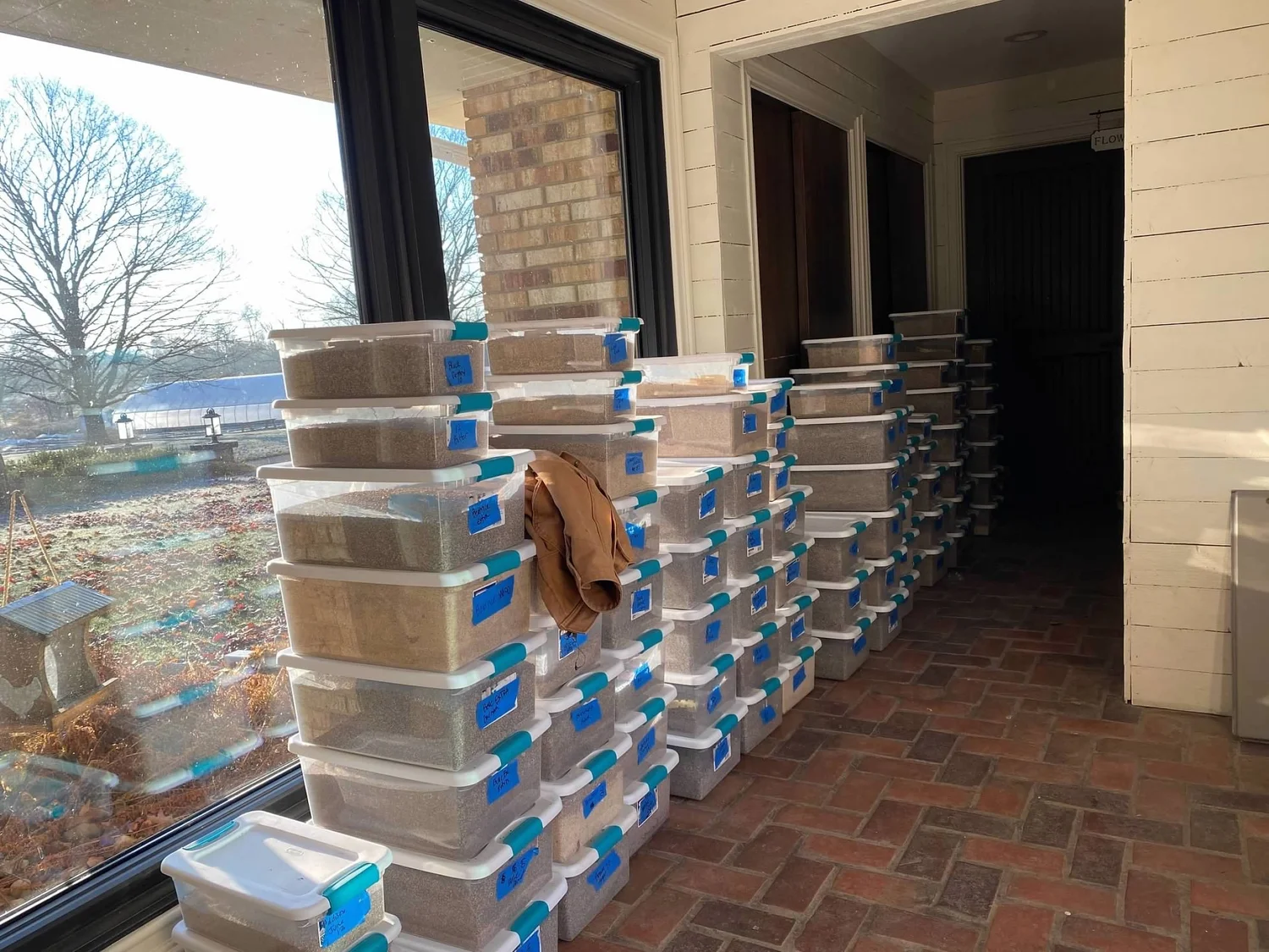 A Guide to Digging and Storing Dahlia Tubers - No Cooler Required ...