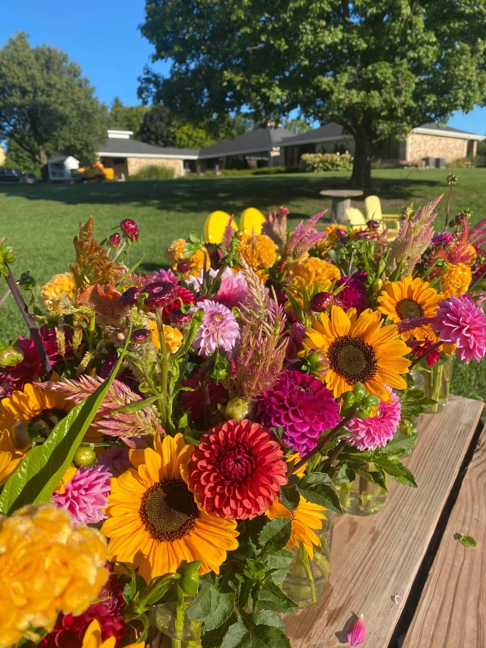 Flowers to Grow for Fall-Inspired Bouquets — Lynsey Taulbee