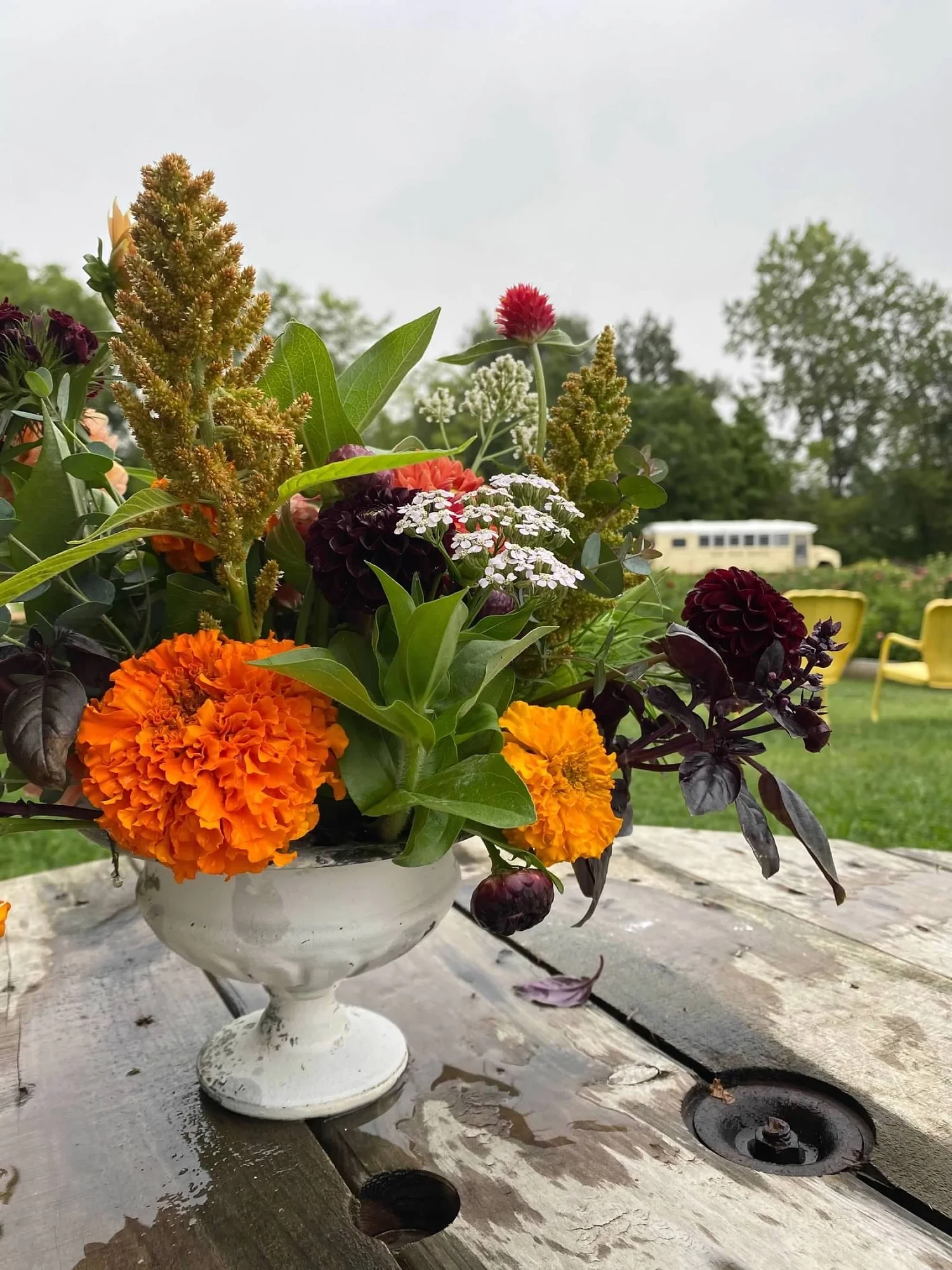Flowers to Grow for Fall-Inspired Bouquets — Lynsey Taulbee