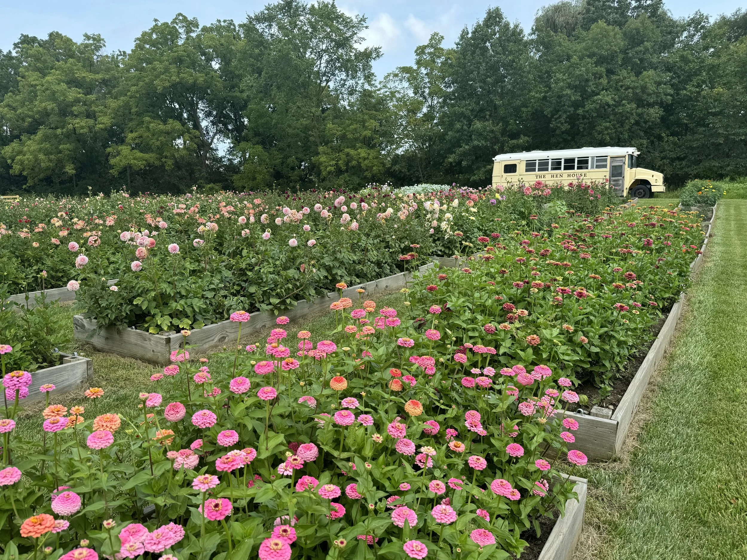 Flower Farming Courses, Tools, and Resources for Growing Your Cut ...