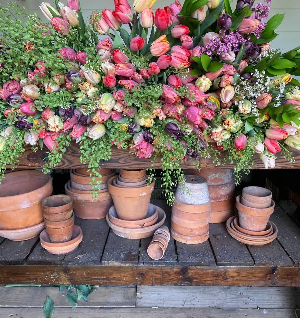 Free Resources to Help Flower Farmers Grow Their Flowers and Profits ...