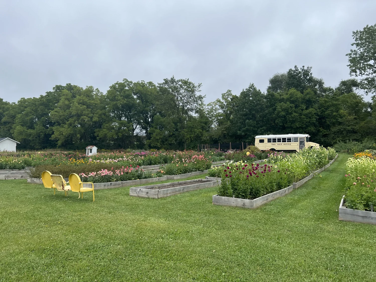 Are Raised Garden Beds Worth It for Flower Farming? Pros, Cons, and How ...