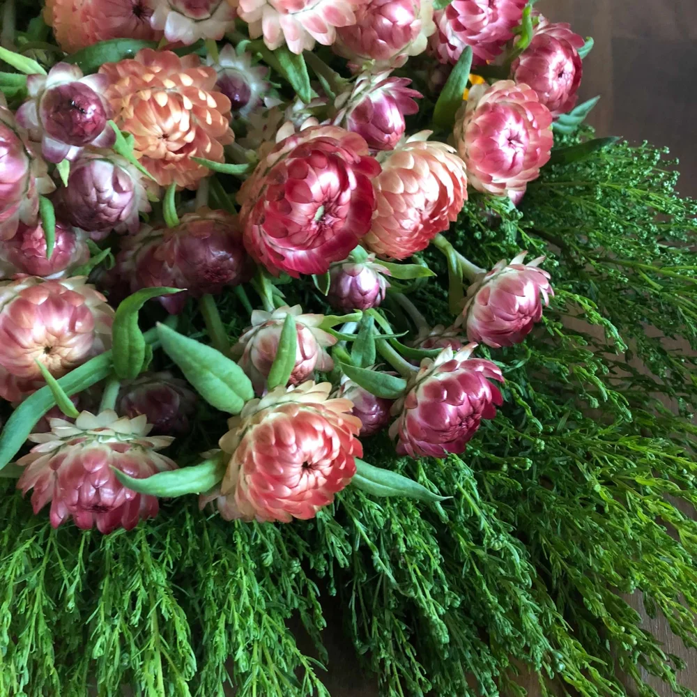 10 Tried and True Cut Flowers for Your Garden — Lynsey Taulbee