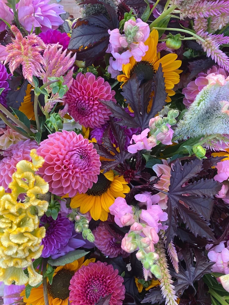 Flowers to Grow for Fall-Inspired Bouquets — Lynsey Taulbee