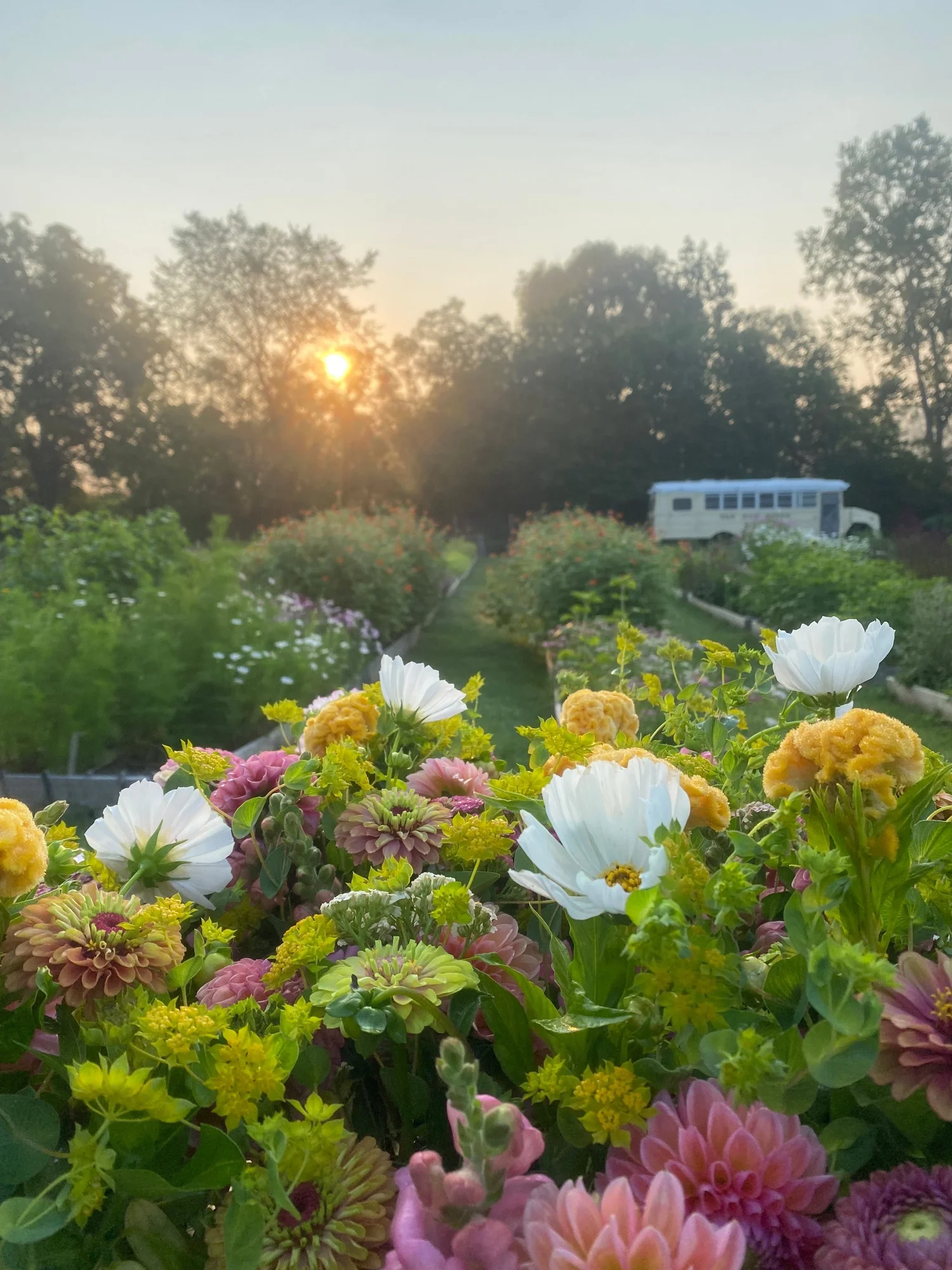 Flower Farming Courses, Tools, and Resources for Growing Your Cut ...