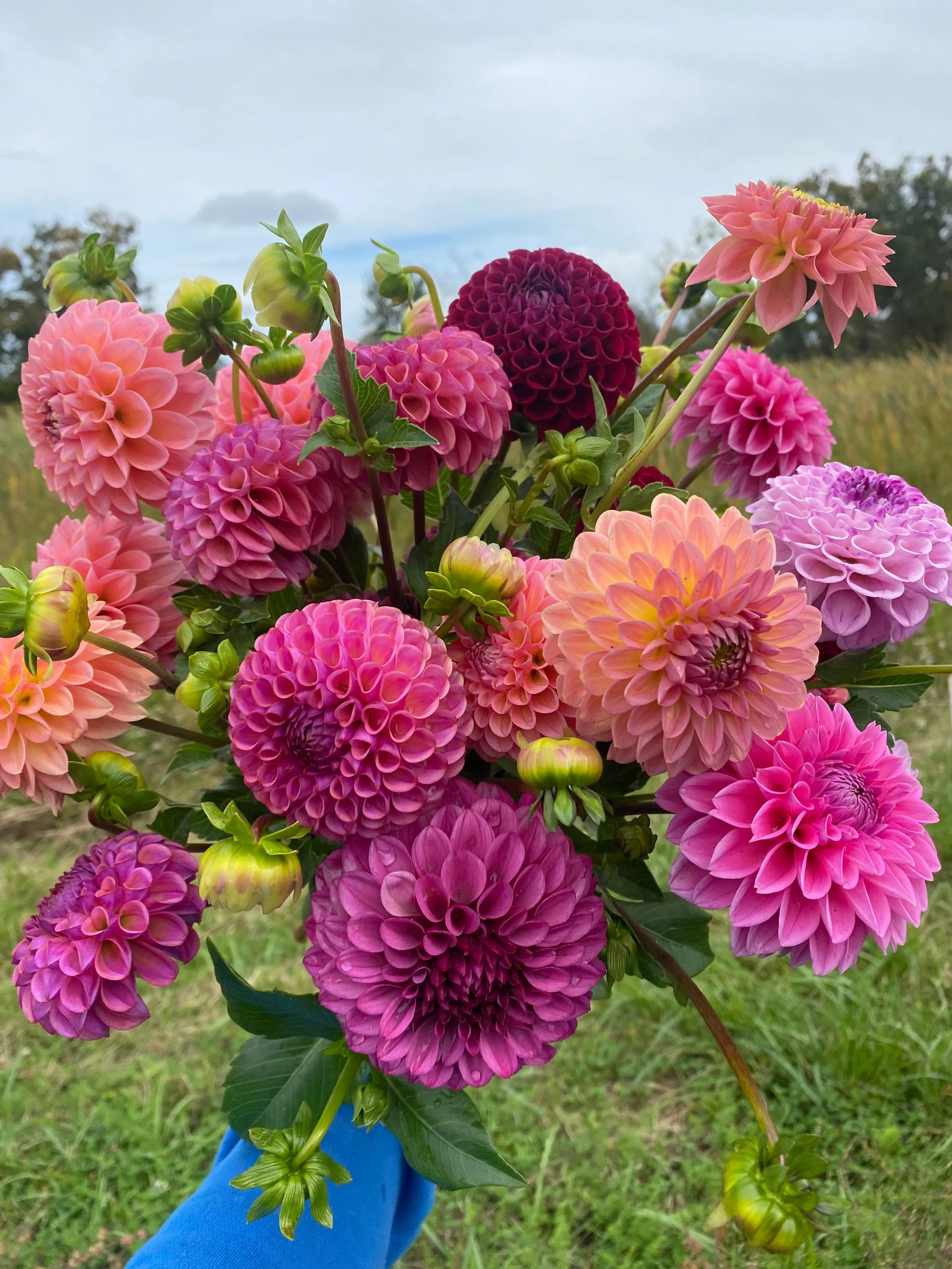 Boost Your Flower Farm's Profits: 3 Strategies for Higher Prices ...