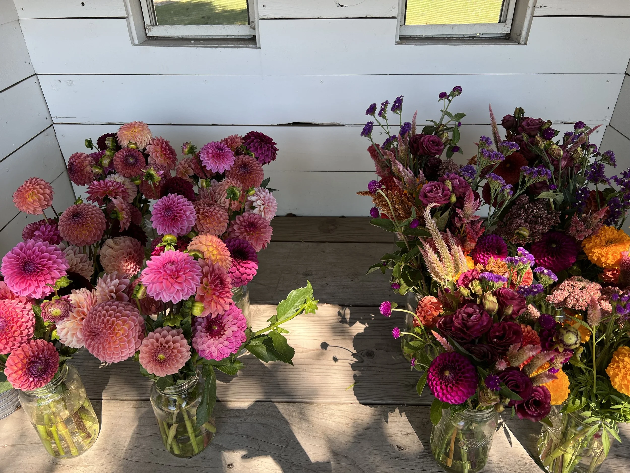 How Many Flowers Should I Grow on My Farm? — Lynsey Taulbee