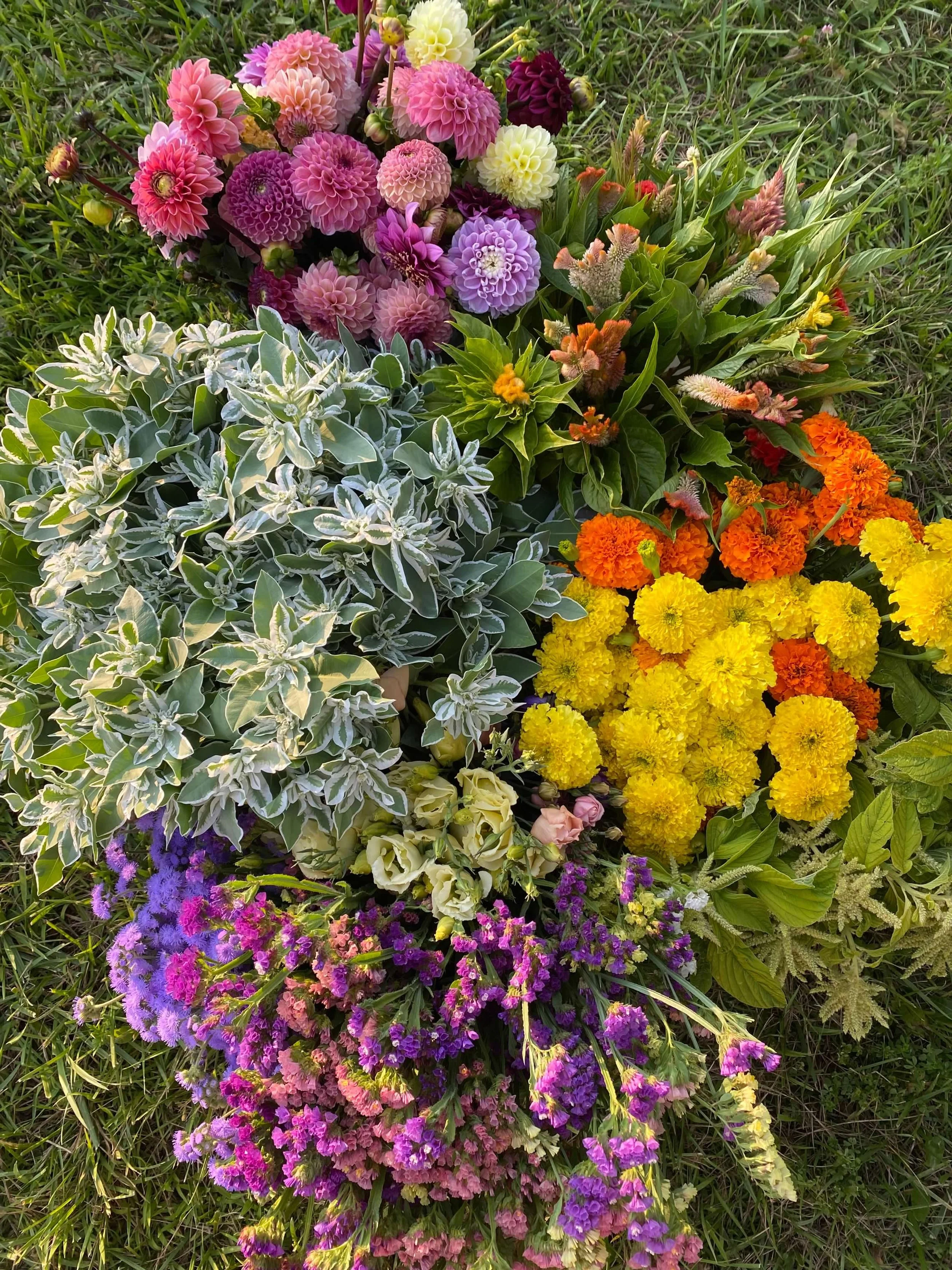 The 10 Best Flowers to Grow for Cut Flowers Your First Season — Lynsey ...