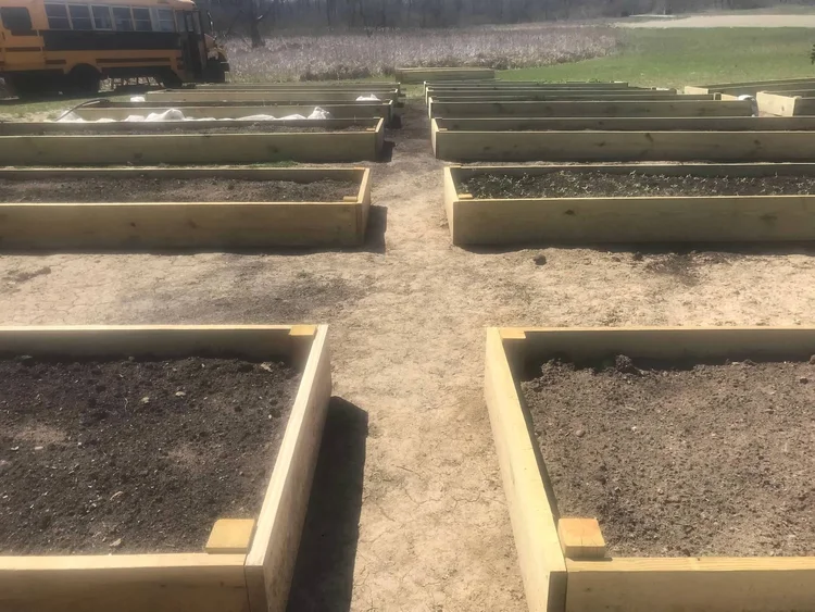 Are Raised Garden Beds Worth It for Flower Farming? Pros, Cons, and How ...