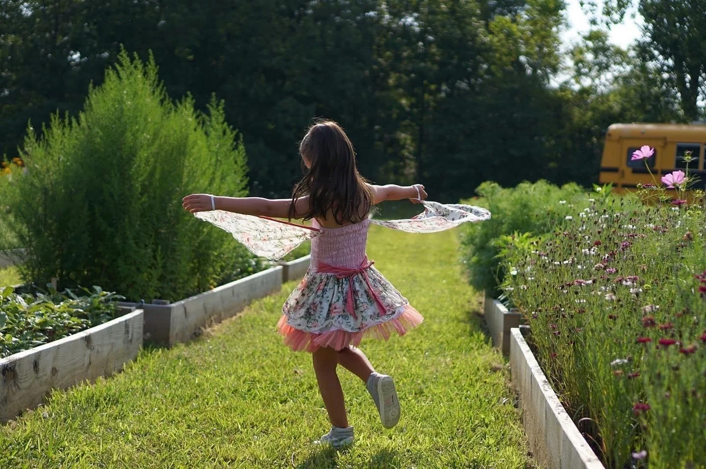 Are Raised Garden Beds Worth It for Flower Farming? Pros, Cons, and How ...